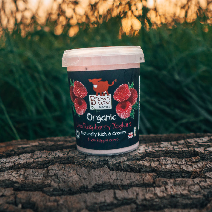 Organic Raspberry Yoghurt – Brown Cow Organics